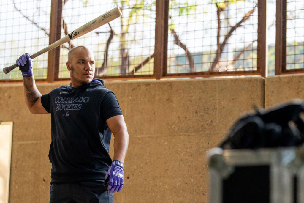 Tigres de Aragua - lvbp.com